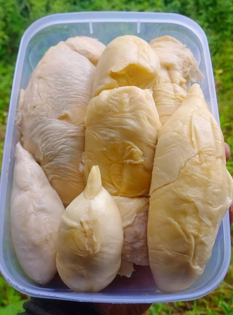 complete responsive flower website design tutorial